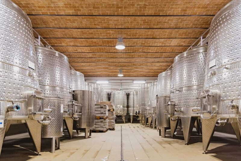 Chianciano Terme: Guided Winery Tour & Wine Tasting - The Setting: A Bucolic Slice of Val D’Orcia
