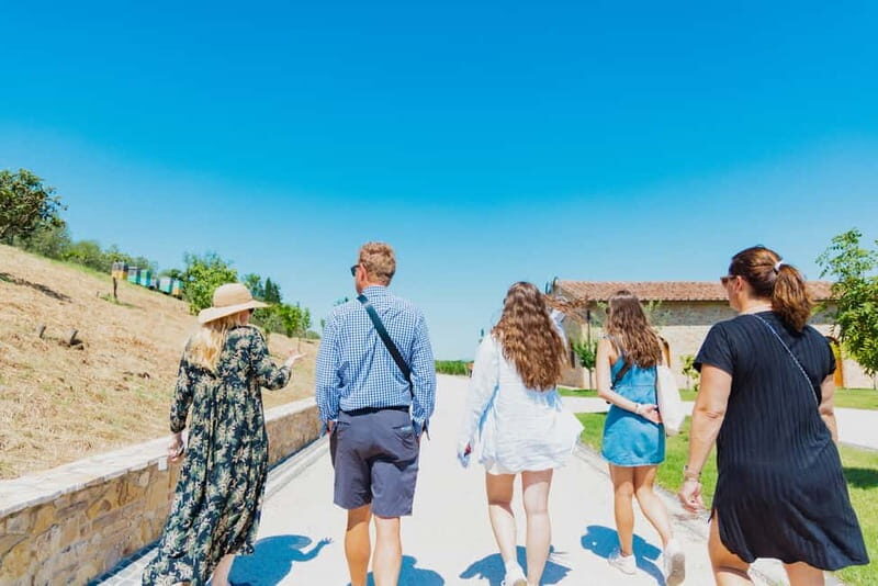 Chianciano Terme: Guided Winery Tour & Wine Tasting - Duration, Cost, and Practicalities