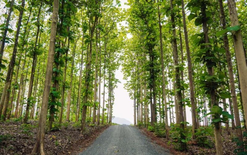 Chiang Dao 2-Day Tour: Cave, Cafe, Lodge Stay & Waterfalls - Key Points