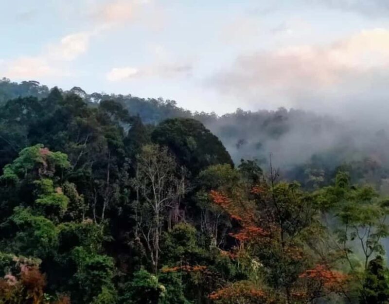 Chiang Dao Trekking & Hidden Village Adventure - Learning Traditional Skills: Coffee, Tea & Bamboo Weaving