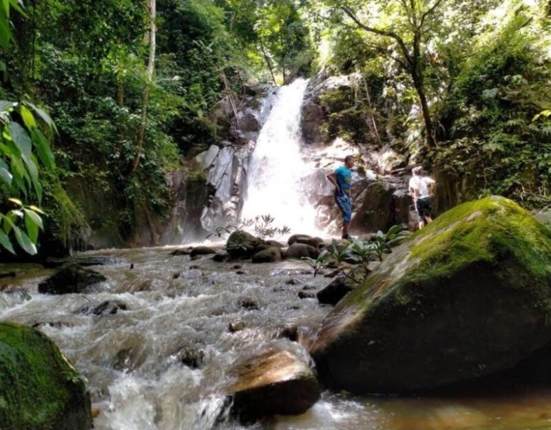 Chiang Dao Trekking & Hidden Village Adventure - Who Should Consider This Tour?