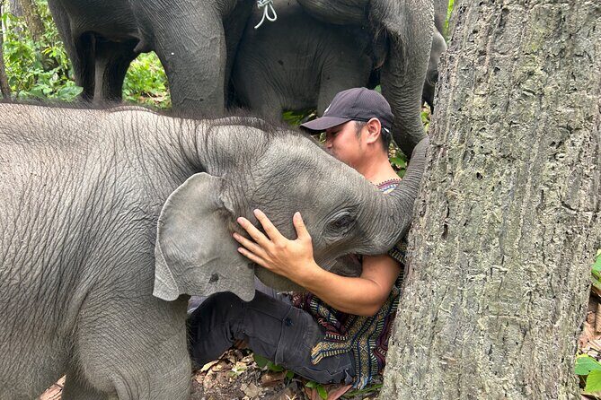Chiang Mai 1 Day: Elephant Sanctuary, Waterfall & Bamboo Rafting - Key Points