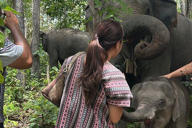 Chiang Mai 1 Day: Elephant Sanctuary, Waterfall & Bamboo Rafting - Practical Details and Tips