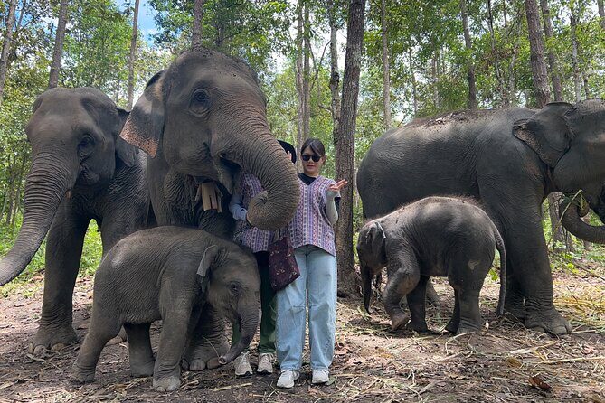 Chiang Mai 1 Day: Elephant Sanctuary, Waterfall & Bamboo Rafting - Why This Tour Works Well
