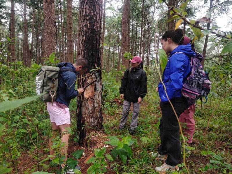 Chiang Mai: 2-Day, 1-Night Non-Touristy Trek - Overview of the Experience