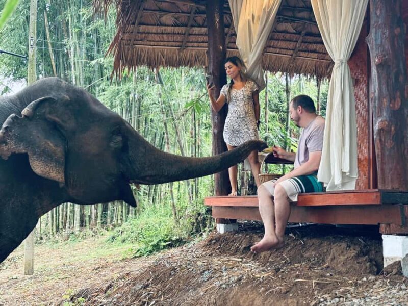 Chiang Mai 2-Day: Good Morning Elephant & Overnight Homestay - Introduction