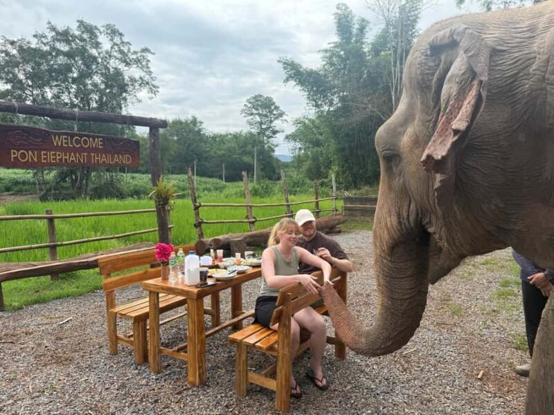 Chiang Mai 2-Day: Good Morning Elephant & Overnight Homestay - Key Points