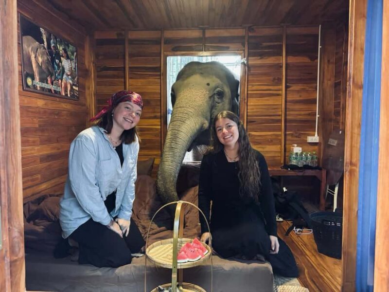 Chiang Mai 2-Day: Good Morning Elephant & Overnight Homestay - Who Will Love This Experience