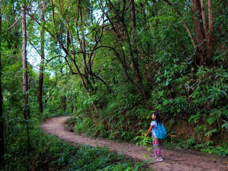 Chiang Mai: 2-Day Hidden Jungle Trek & Local Hill-Tribe Stay - Who Is This Tour Best For?