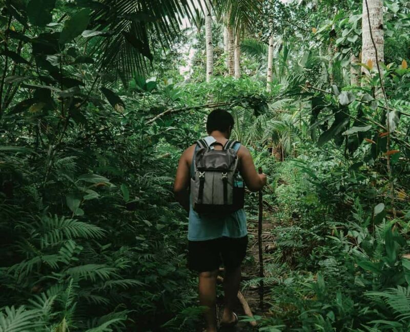 Chiang Mai: 2-Day Hidden Jungle Trek & Local Hill-Tribe Stay - Final Thoughts