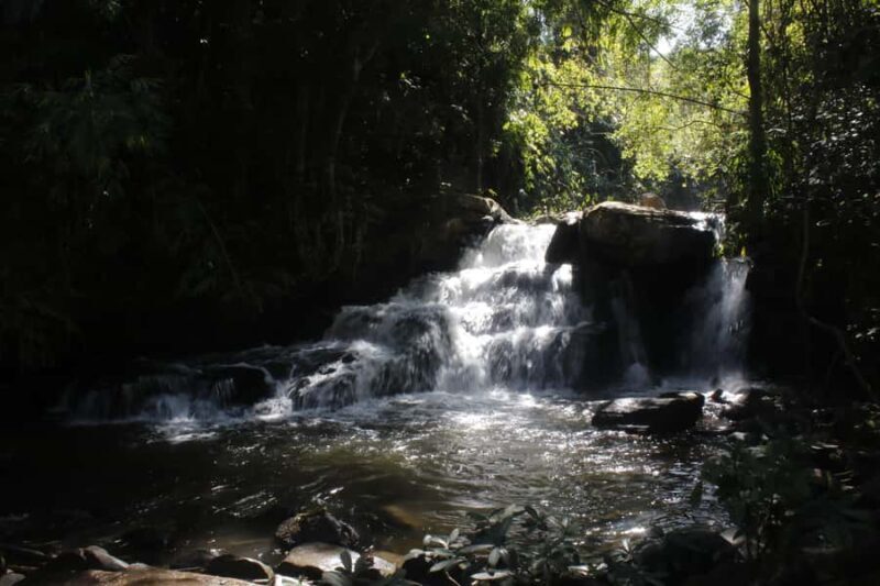 Chiang Mai: 2-Day Reforestation Adventure with Rafting - A Well-Rounded Introduction to Northern Thailand’s Natural and Cultural Treasures