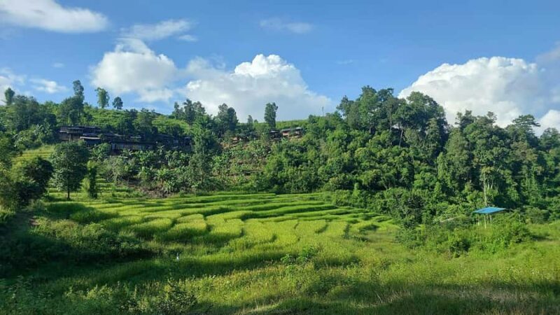 Chiang Mai: 2-Day Reforestation Adventure with Rafting - Why This Tour Is Worth Considering