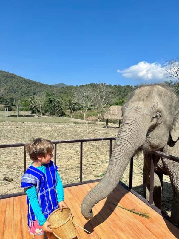 Chiang Mai: 2-Day Tour with Rafting, Elephants, and Waterfall - Key Points