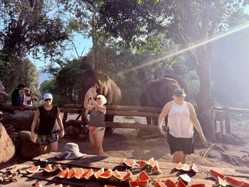 Chiang Mai 2-Day: Trek, Tubing, Waterfall & Elephant Feeding - Final Thoughts