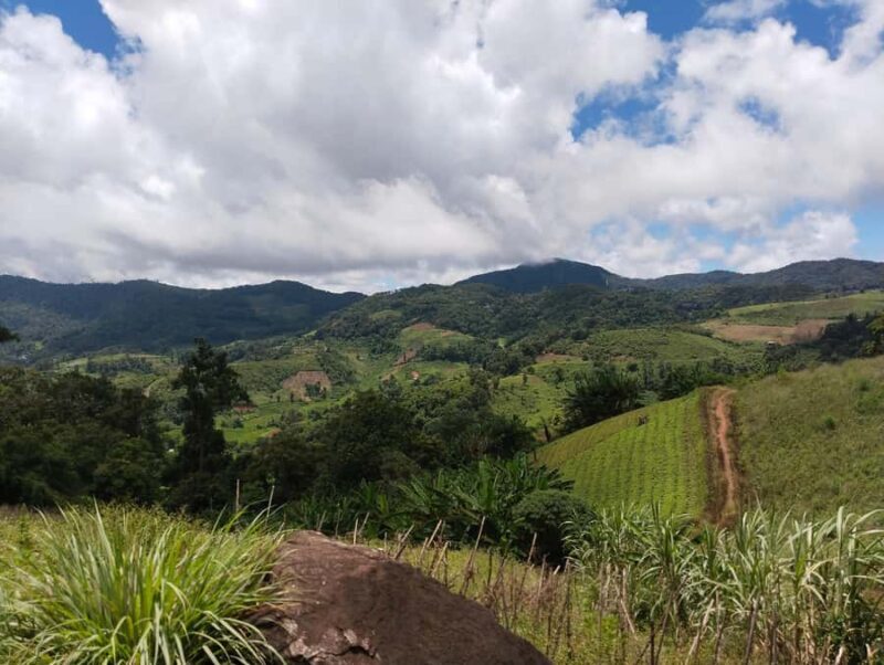 Chiang Mai: 2-Days Chiang Mai Hill tribe Trek - Key Points