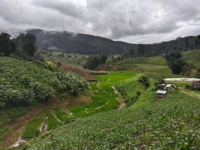 Chiang Mai: 2-Days Chiang Mai Hill tribe Trek - What Sets This Tour Apart