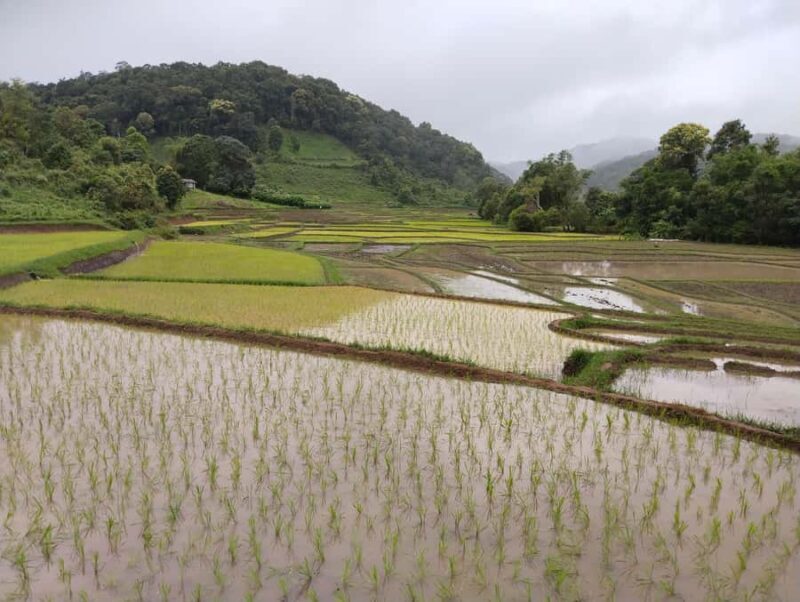 Chiang Mai: 2-Days Chiang Mai Hill tribe Trek - Who Will Love This Tour?