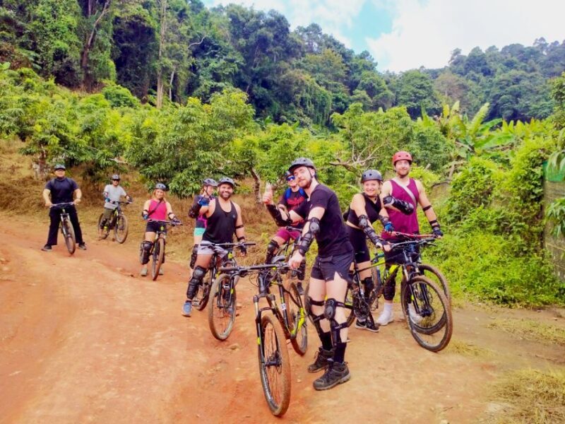 Chiang Mai: 20km Downhill Mountain Biking Challenge Suthep M - Who Will Love This Tour?