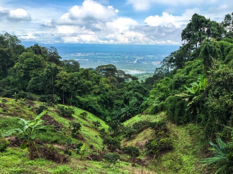 Chiang Mai: 20km Downhill Mountain Biking Challenge Suthep M - Final Thoughts on Value