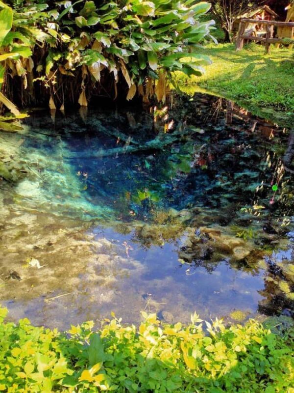 Chiang Mai: 22 km XC Mountain Biking from Sticky Waterfall - FAQ