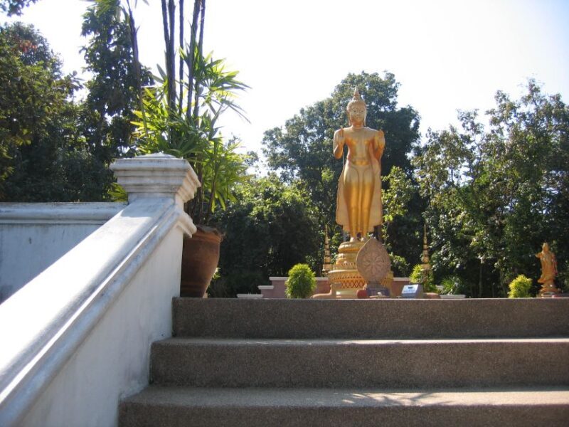 Chiang Mai: 24 km Leisure Cycling & swim Lake Huay Tueng Tao - The Experience for Different Types of Travelers