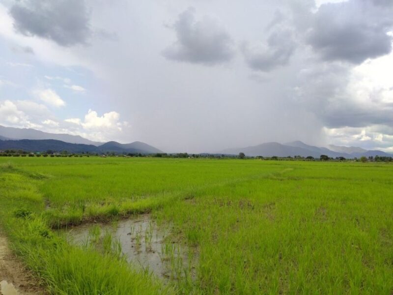 Chiang Mai: 25km Leisure Mountain Biking & Jungle Kayaking - FAQ