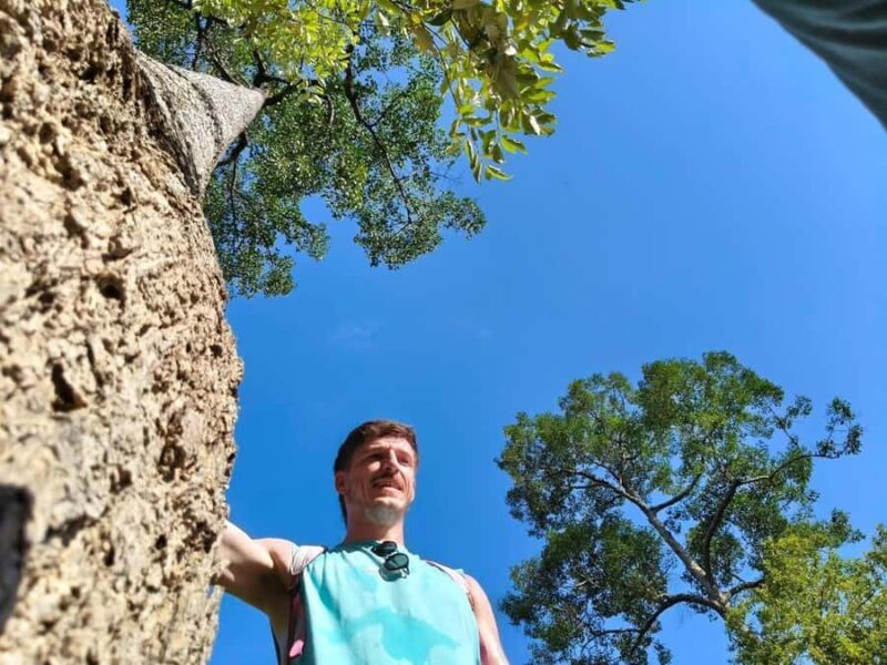 Chiang Mai: 3-Day Elephant Care, Jungle Trek, Bamboo Rafting - Price and Value