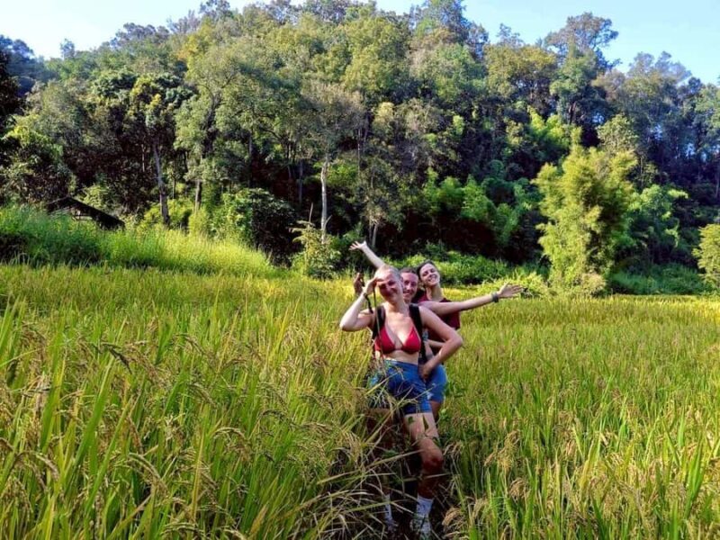 Chiang Mai: 3-Day Jungle Trek with White Karen Local Guide - Key Points