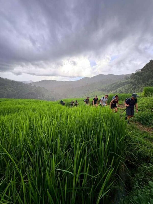 Chiang Mai: 3-Day Jungle Trek with White Karen Local Guide - The Accommodation and Food