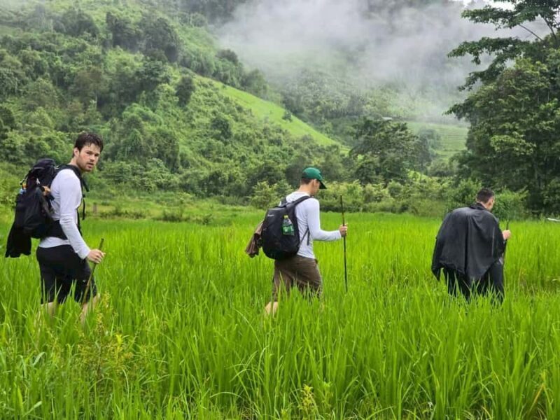 Chiang Mai: 3-Day Jungle Trek with White Karen Local Guide - Seasonality and Weather Considerations