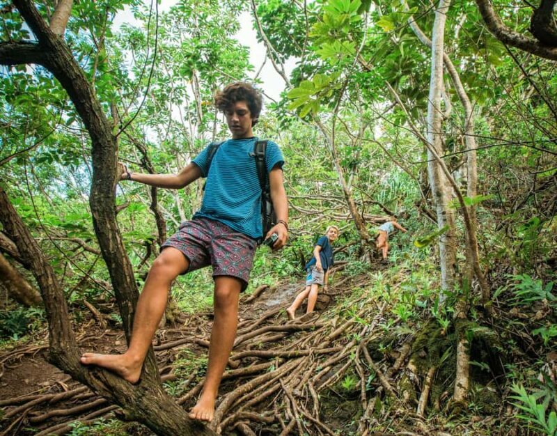 Chiang Mai: 3-Day Karen Hill Tribe Immersion with Trekking - An In-Depth Look at the 3-Day Trek Experience