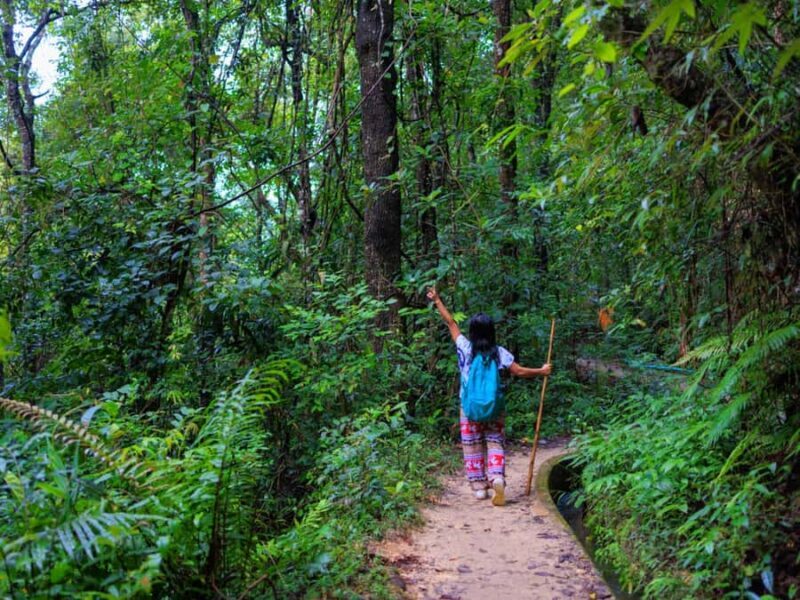 Chiang Mai: 3-Day Karen Hill Tribe Immersion with Trekking - The Value of the Experience