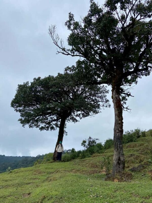 Chiang Mai: 3-Day Omkoi & Doi Na Kian Cultural Trek - Is It Worth It?