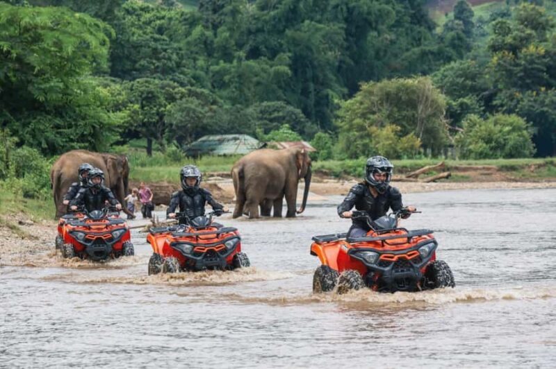 Chiang Mai: 3-Hour ATV Quad Biking Jungle Adventure - An Authentic Adventure in Chiang Mai’s Countryside