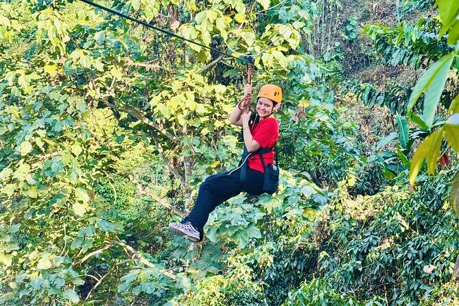 Chiang Mai 3 in 1 Zipline, Elephants and Sticky Waterfall - An Adventure That Checks All the Boxes