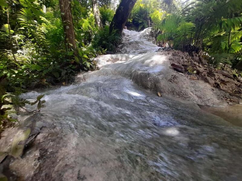 Chiang Mai: 4-Hour Sticky Waterfall Private Tour - What Reviewers Say