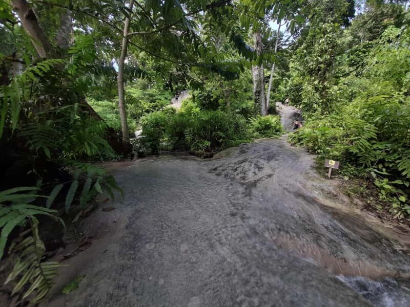 Chiang Mai: 4-Hour Sticky Waterfall Private Tour - The Sum Up