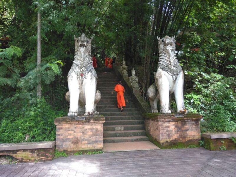 Chiang Mai: 7-Hour Doi Suthep National Park Summit Hiking - A Deep Dive into the Experience