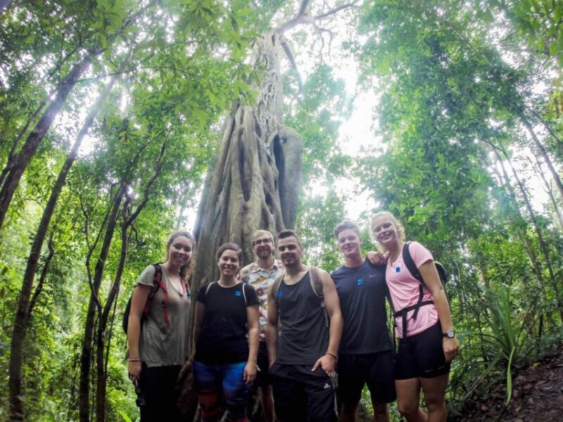 Chiang Mai: 7-Hour Doi Suthep National Park Summit Hiking - Who Should Consider This Tour?