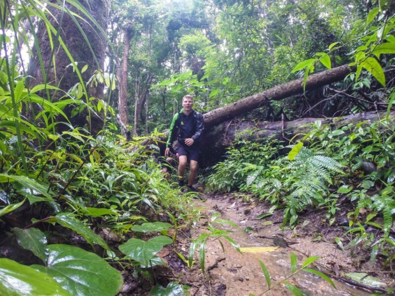 Chiang Mai: 7-Hour Doi Suthep National Park Summit Hiking - FAQs