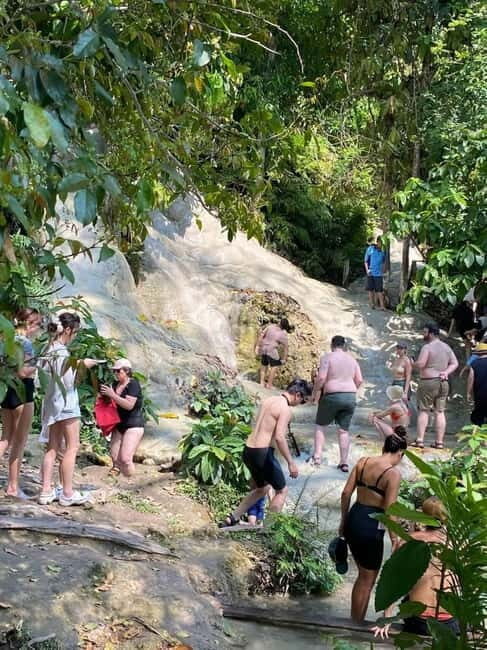 Chiang Mai: Afternoon Bua Tong Sticky Waterfall by Red Taxi - Key Points