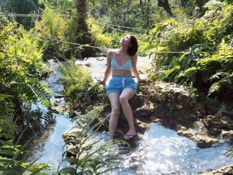 Chiang Mai: Afternoon Bua Tong Sticky Waterfall by Red Taxi - What Makes This Waterfall Unique?