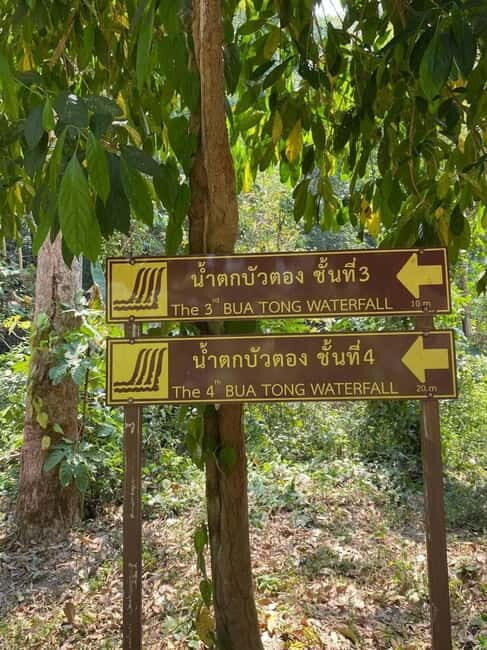 Chiang Mai: Afternoon Bua Tong Sticky Waterfall by Red Taxi - Practical Details and What to Bring