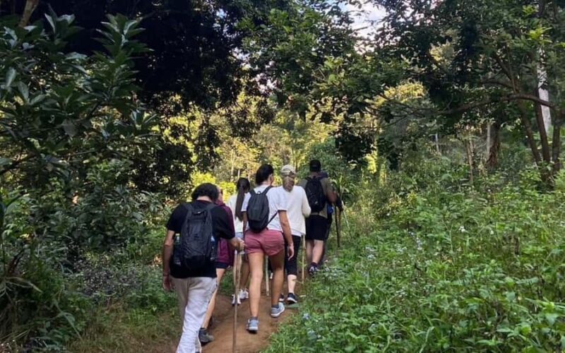 Chiang Mai: ATV Adventure, Jungle Hike & White Water Rafting - Practical Details and Tips