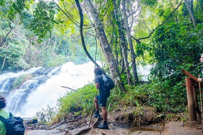 Chiang Mai ATV Tour, Doi Inthanon Trekking, and Elephant Watching - Key Points