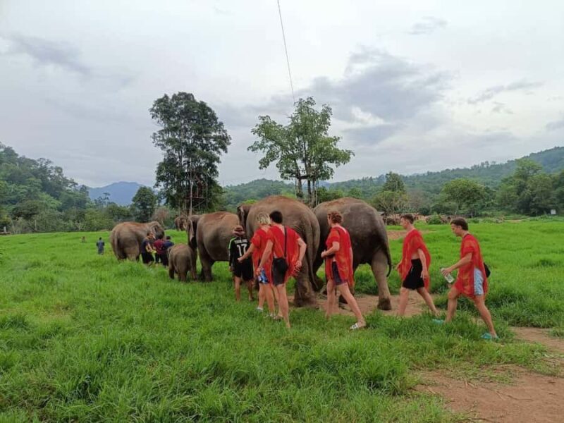 Chiang Mai : ATV Tour + Elephant Care - Key Points