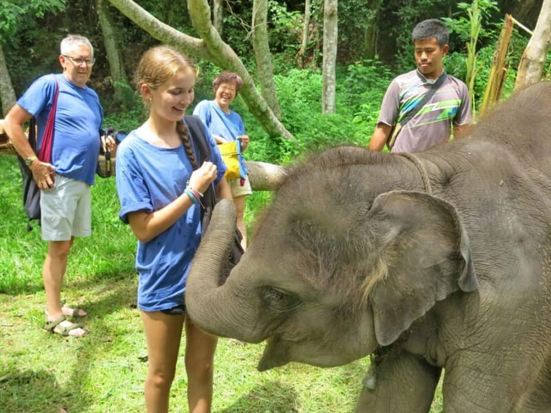 Chiang Mai : ATV Tour + Elephant Care - An In-Depth Look at the Experience