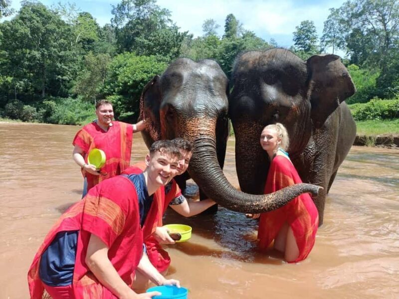 Chiang Mai : ATV Tour + Elephant Care - Cost and Value