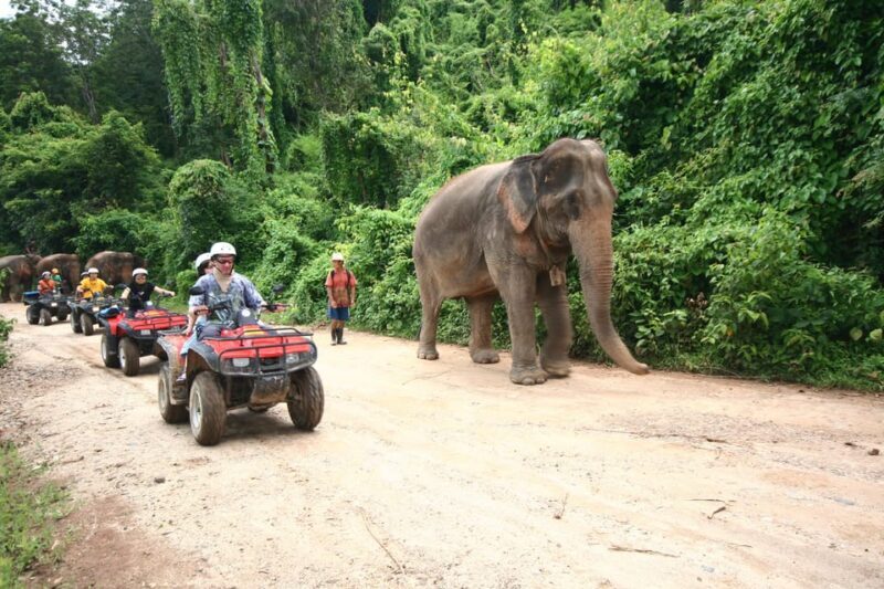 Chiang Mai : ATV Tour - FAQ