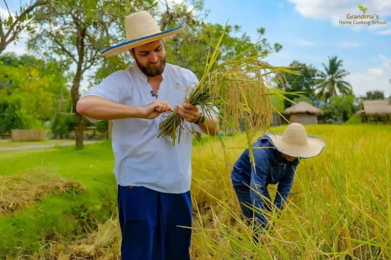 Chiang Mai: Authentic Cooking Class with Market & Farm Visit - The Bottom Line